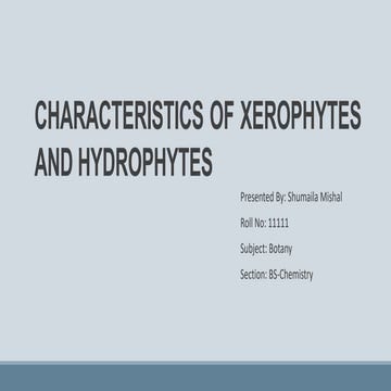 Xerophytes Characteristics Xerophytes | PPT