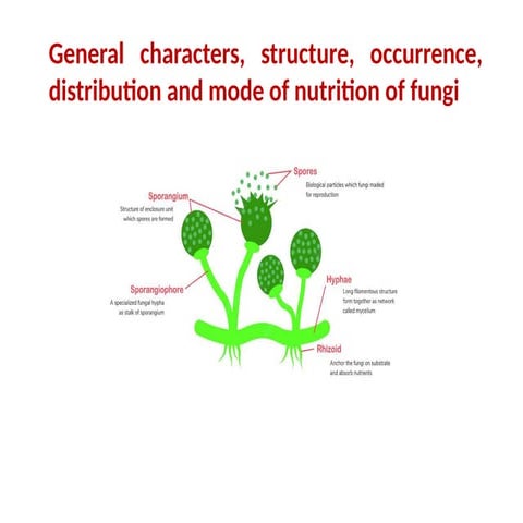 Characteristics, Structure, Occurrence, Distribution and Mode of ...
