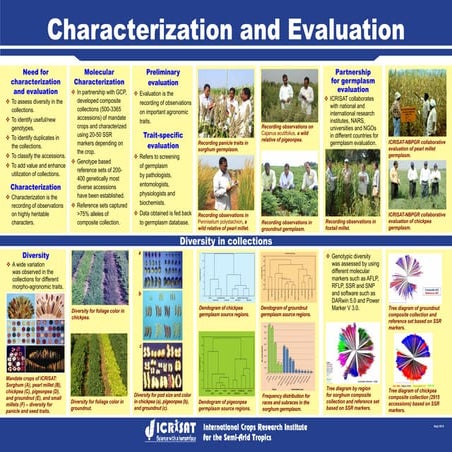 Characterization and Evaluation | PPT