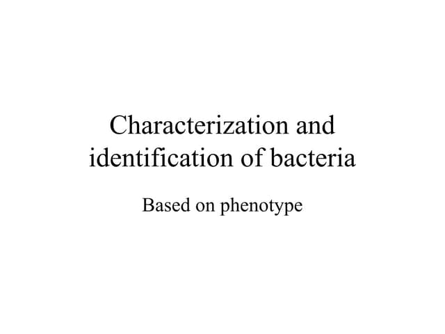 Bacterial Identification.ppt