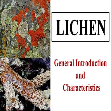 Structure and Classification of Lichen.pptx