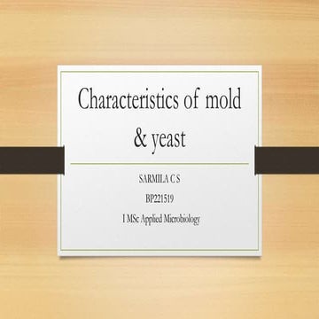 character of Mold & Yeast.pptx