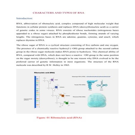 CHARACTERS AND TYPES OF RNA | PDF