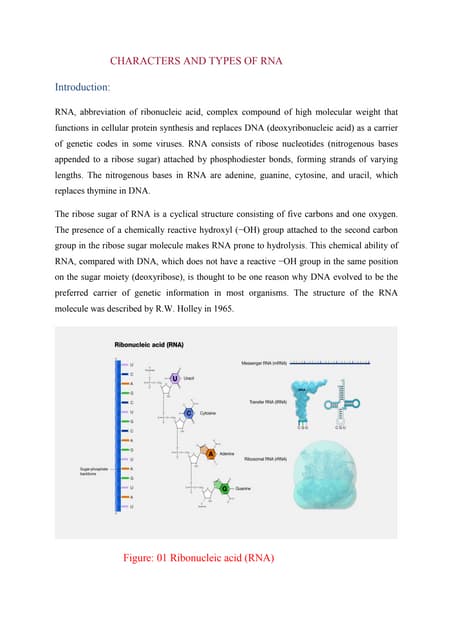 Types of RNA | PPTX