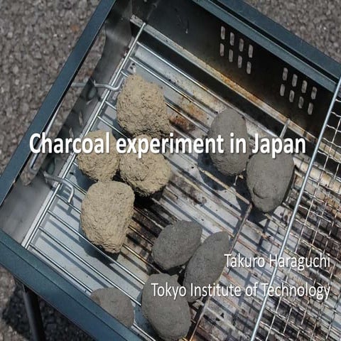 Charcoal project in Nepal | PDF