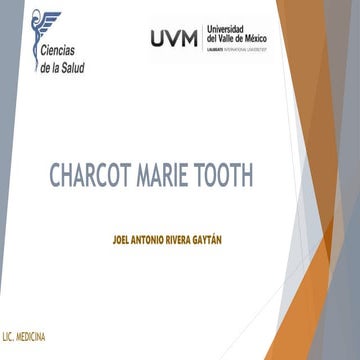 Sindrome charcot marie tooth: Tipos y variaciones que existen | PDF