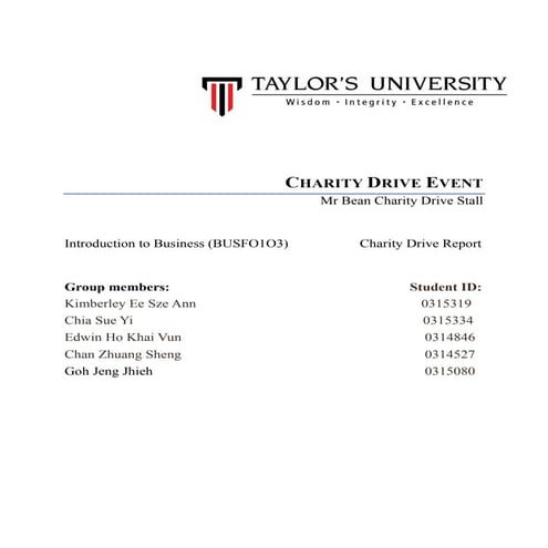 Charity drive report | PDF