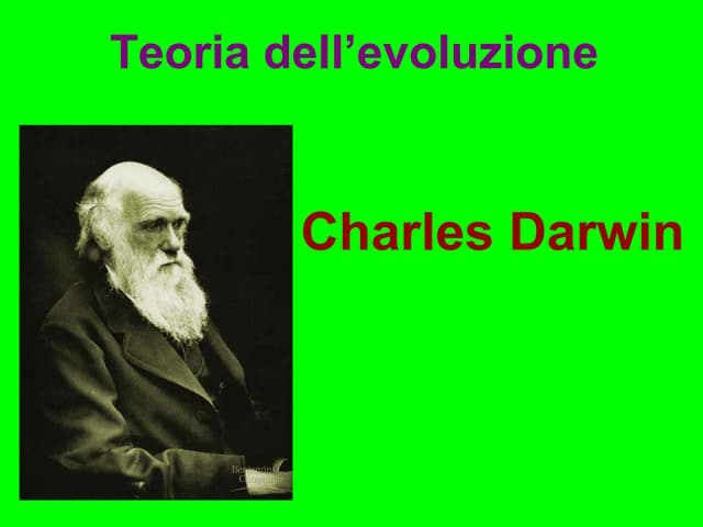 34.Vita Darwin | PPS
