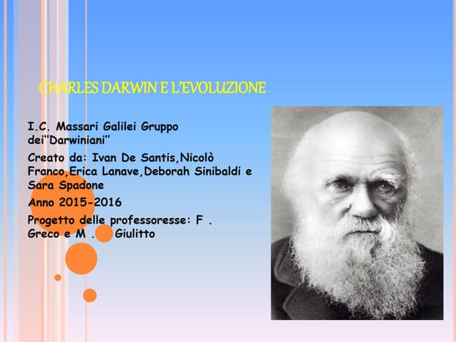 Schede didattiche sui dinosauri. Libro da costruire con giochi, notizie ...