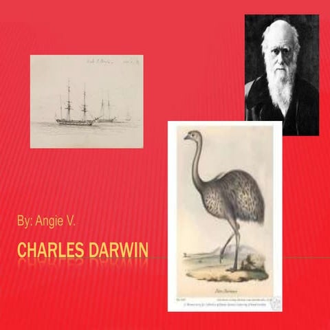 Charles darwin power point_edited | PPT