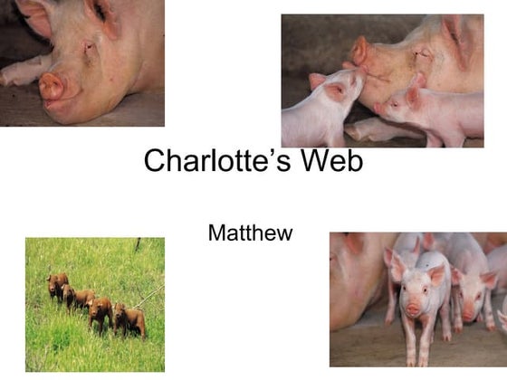 Charlotte's Web Project | PPT