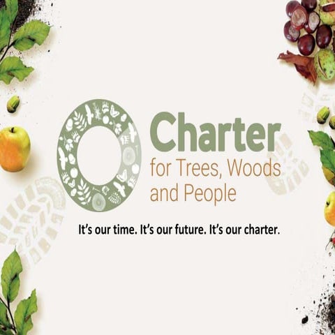 Tree Charter Champion presentation | PPTX