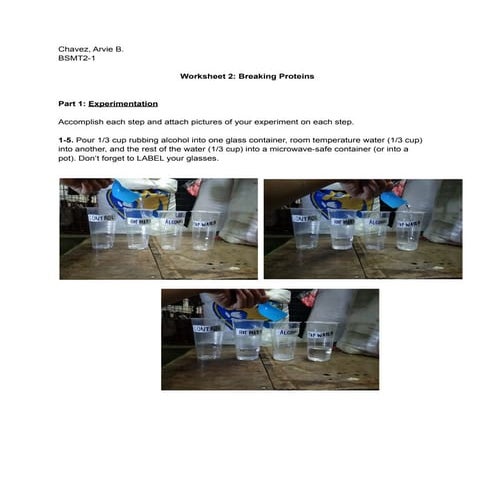 CHAVEZ_EXPERIMENT2_BREAKINGPROTEINS.pdf