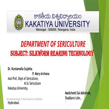 All details About the Chawkie worms.pptx