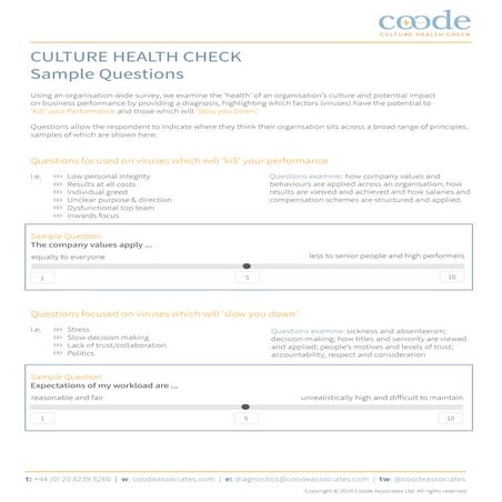 Coode Culture Health Check Diagnostic - Sample Questions | PDF