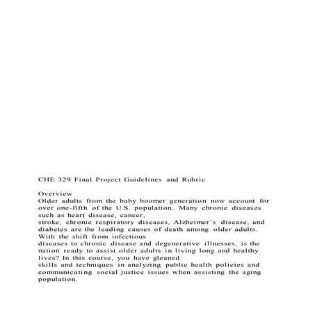 CHE 329 Final Project Guidel | DOCX