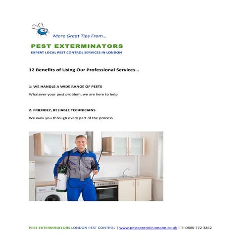 Cheap emergency pest control london | PDF