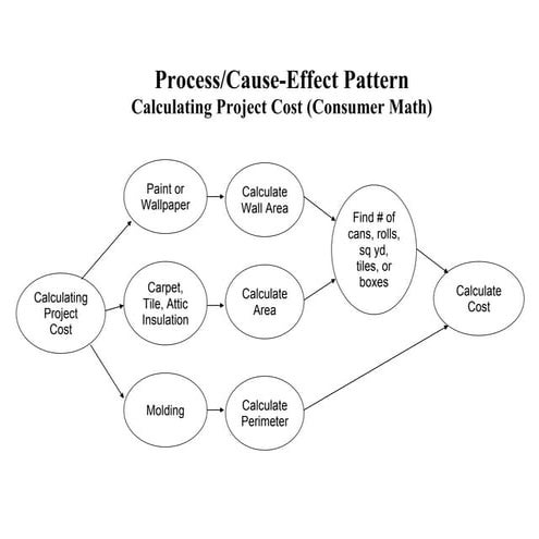 Check for understanding #2 graphic organizer (process-cause-effect ...