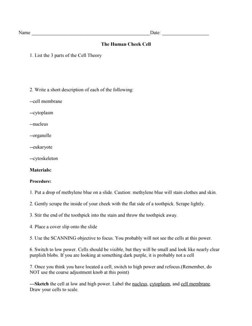 Onion and cheek cell lab | DOC | Biological Sciences | Science