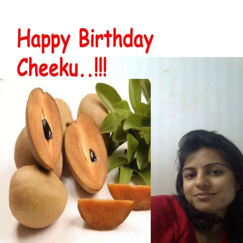 Cheeku's bday ppt | PPTX