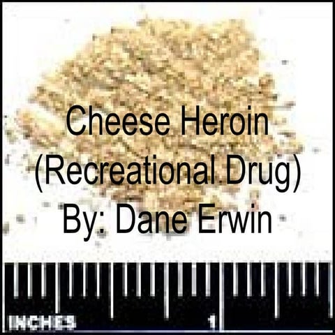 Cheese (recreational drug) erwin dane | PPT
