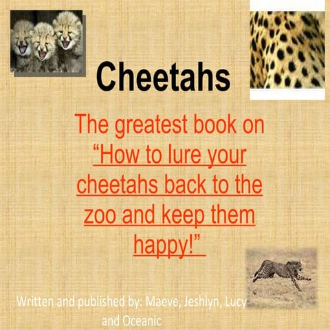 Cheetah Group | PPT