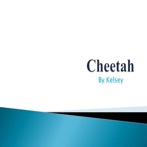 Cheetah2 | PPT