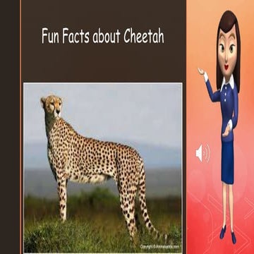Cheetah ppt for kindergarteners | PPTX