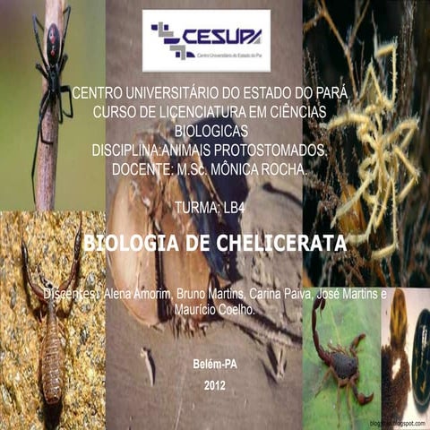 Chelicerata seminário | PPTX