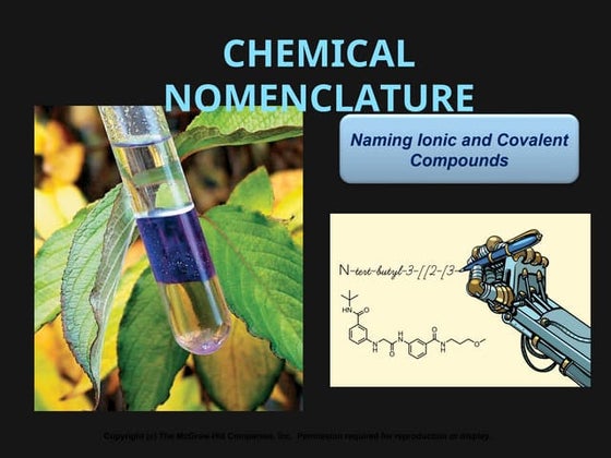 380156320-Chemical-Formula-and-Names-Worksheet.pdf