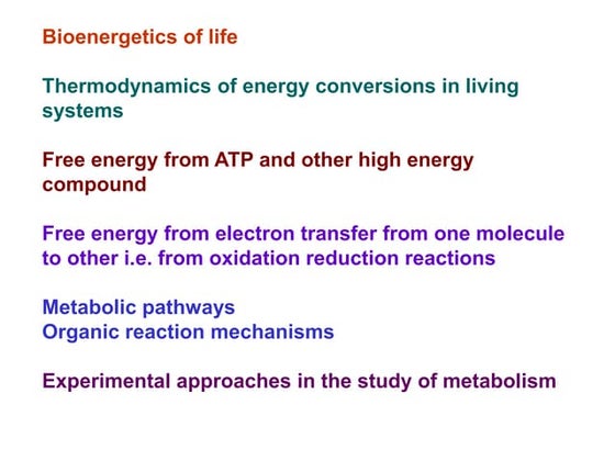 Bioenergetics | PPT