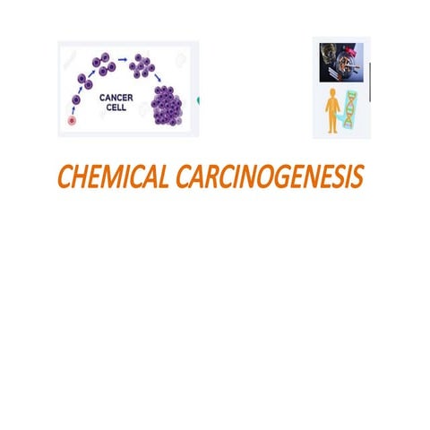 Chemical Carcinogenesis Pathophysiology with Experimental Models | PPTX