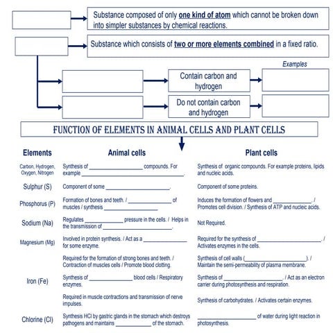 CHAPTER 4: 1.CHEMICAL COMPOSITION OF THE CELL | PPT