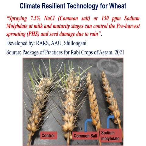 Chemical control of PHS.pptx
