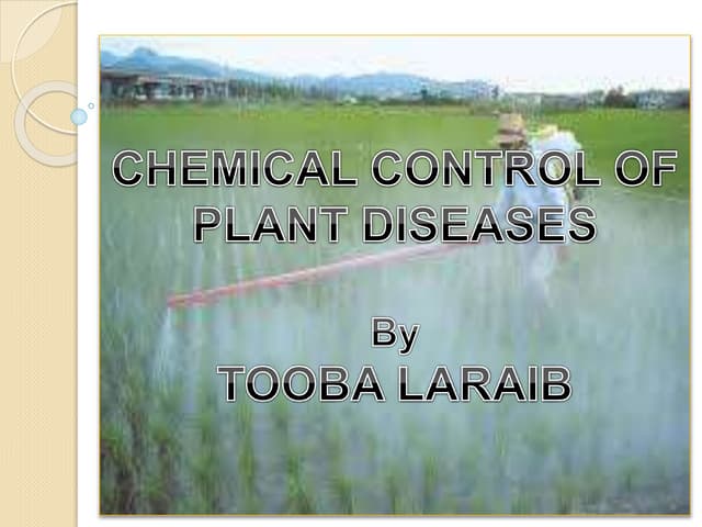 Chemical methods of plant disease management .pptx