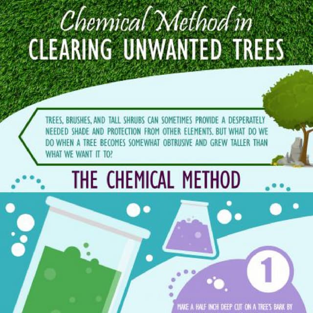 Chemical method in clearing unwanted trees | PDF