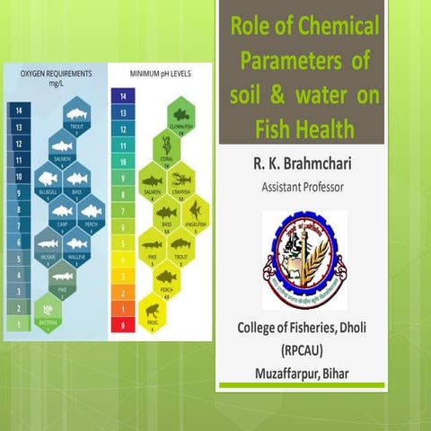 Chemical parameters of soil & water on fish health | PDF