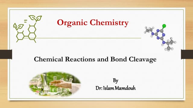 Electrophilic Substitution Reaction | PPTX | Chemistry | Science