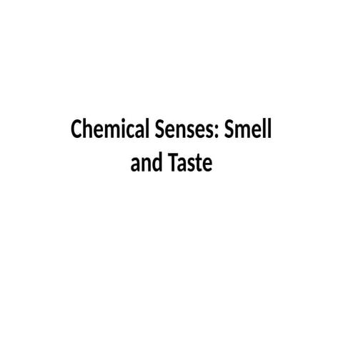 Nose & sense of smell | PPTX