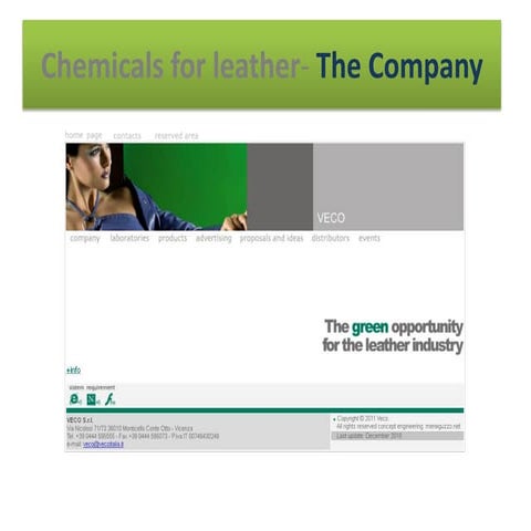 Chemicals for leather | PDF | Chemistry | Science