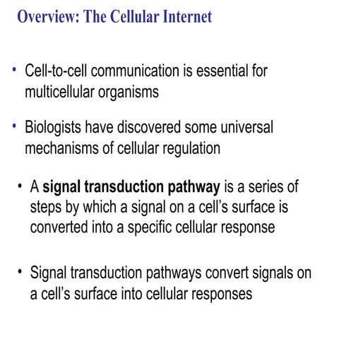 Cell to cell communication | PPT