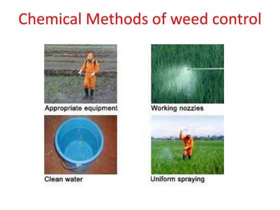 Herbicides- Classification, Formulation & Method of Application.pptx