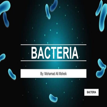 Bacteria | PPT