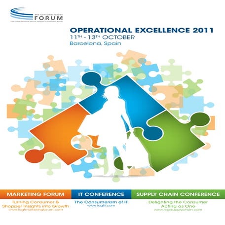 Operational Excellence 2011 Executive Summary | PDF