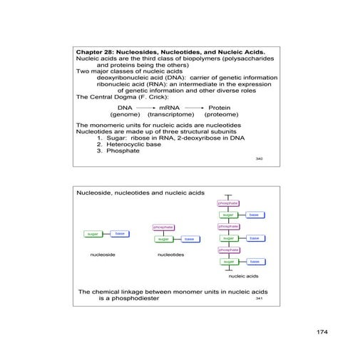 Gives a simple overview on nucleic acids. | PPT