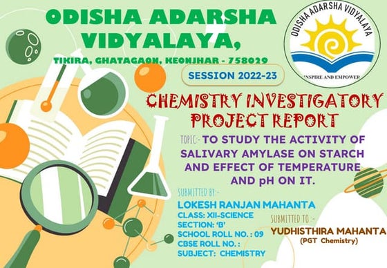 Chemistry project for Class 12 | DOCX
