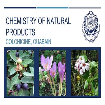 Chemistry of natural products | PPTX