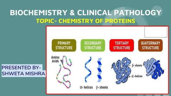 Qualitative tests of proteins, color reaction of proteins,biuret's test ...