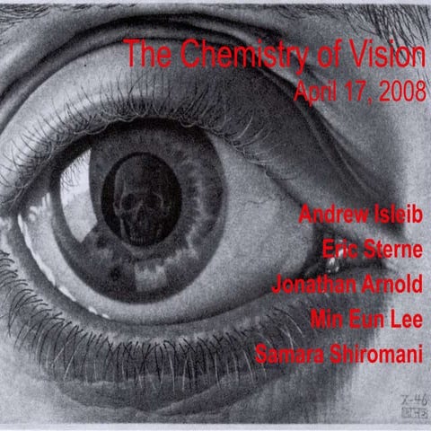 Chemistry Of Vision Final | PPT