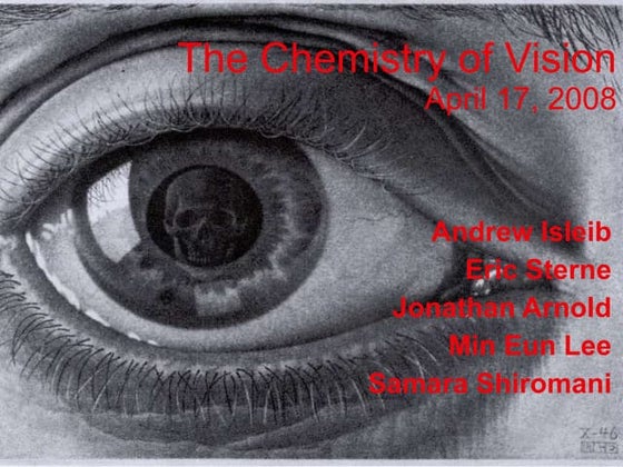 PHOTORECEPTION. .......pptx | Operating Systems | Computer Software and ...